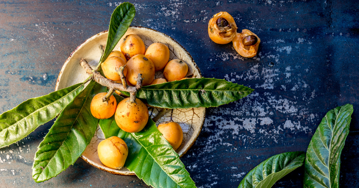 知られざる秘めたる力：ビワ茶の驚くべき効果と歴史